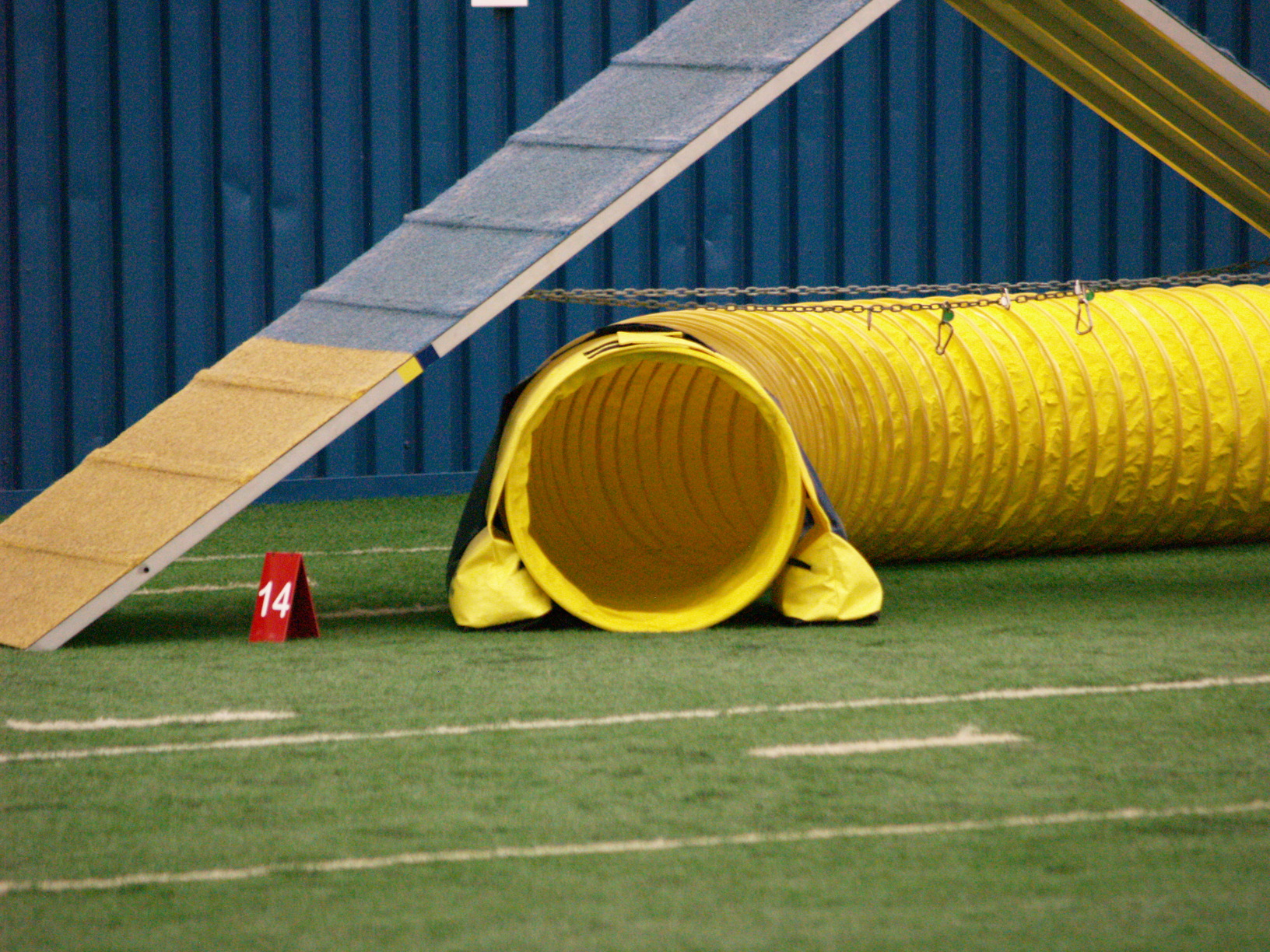 Agility – Gem City Dog Obedience Club